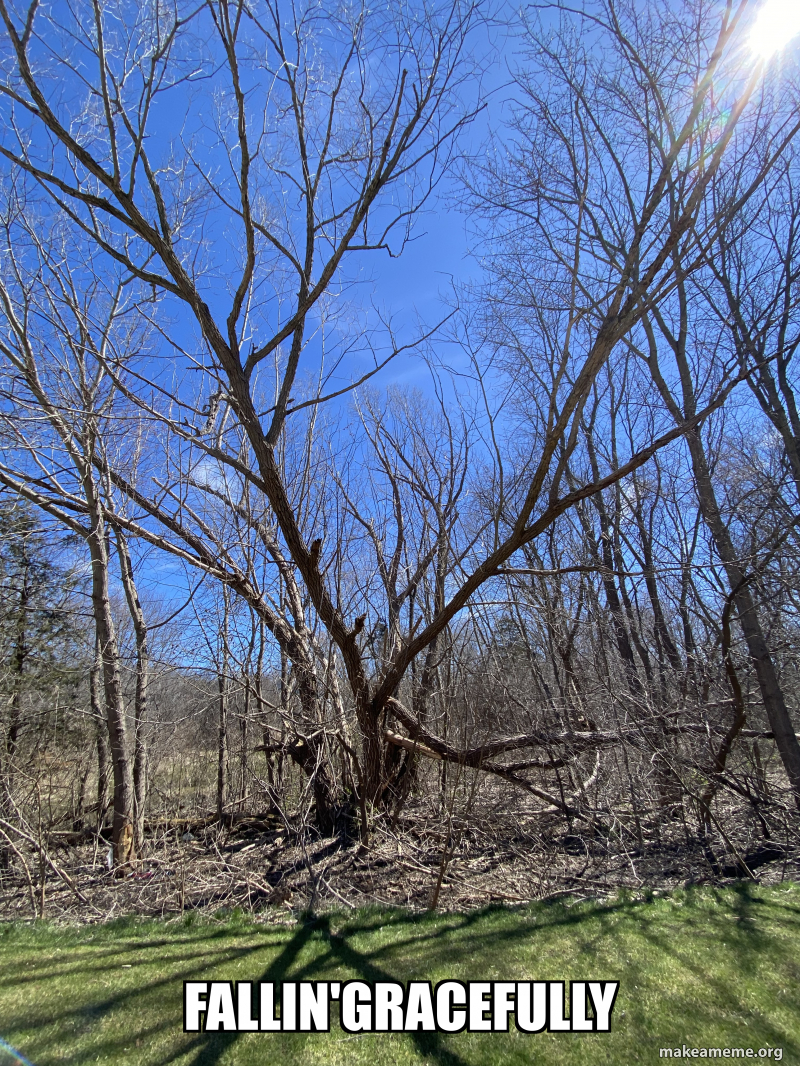 Fallin'gracefully Meme Generator