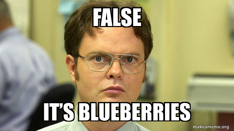 False IT’s blueberries Meme Generator