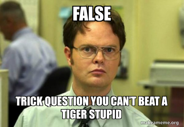 False Trick question you can’t beat a tiger stupid - Schrute Facts ...