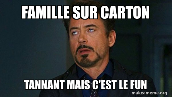Famille sur carton Tannant mais c'est le fun - Tony Stark Eye Roll Meme ...