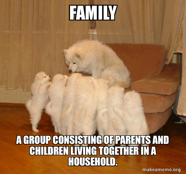 family a group consisting of parents and children living together in a ...