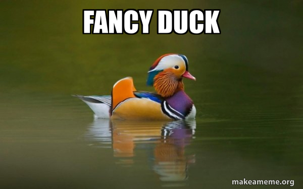 fancy duck - Fashionable Advice Mallard Meme Generator