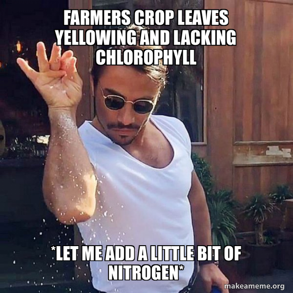 Farmers crop leaves yellowing and lacking chlorophyll *Let me add a ...