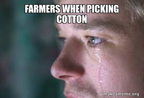 Farmers when picking cotton Meme Generator