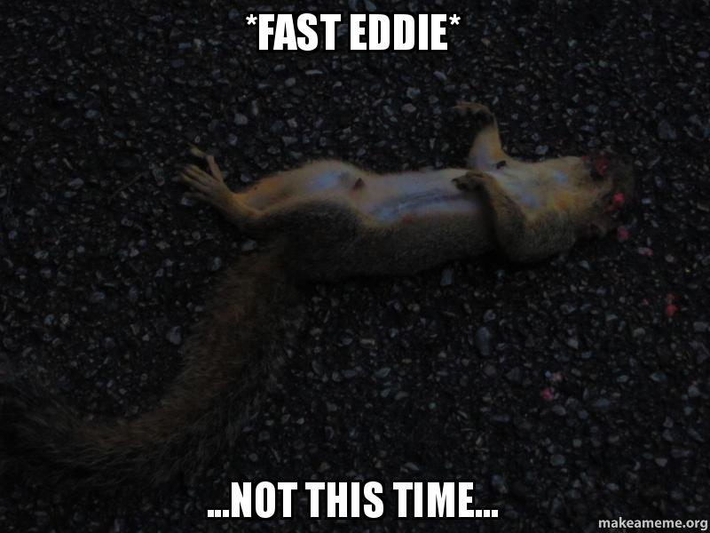 *Fast Eddie* ...Not this time... - dead squirrel Meme Generator