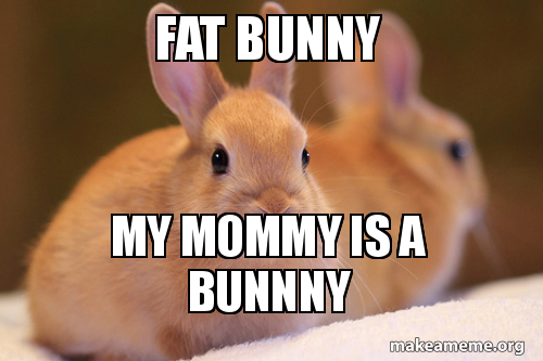 FAT BUNNY MY MOMMY IS A BUNNNY - BOOM Meme Generator