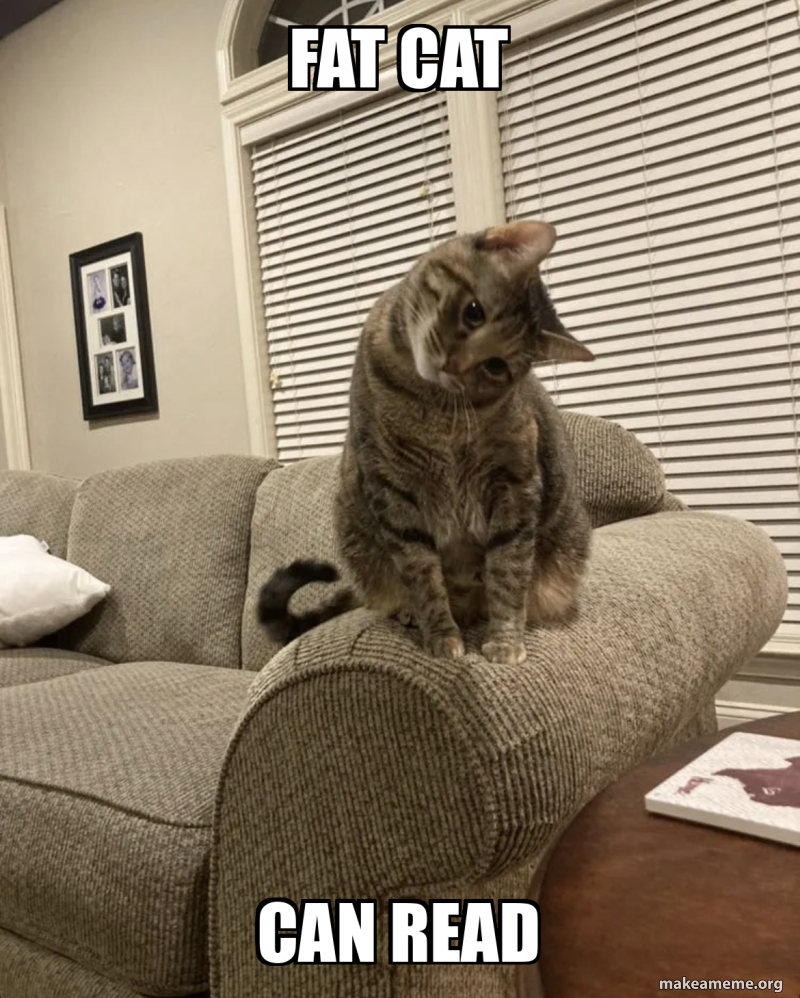 Fat Cat Can read Meme Generator