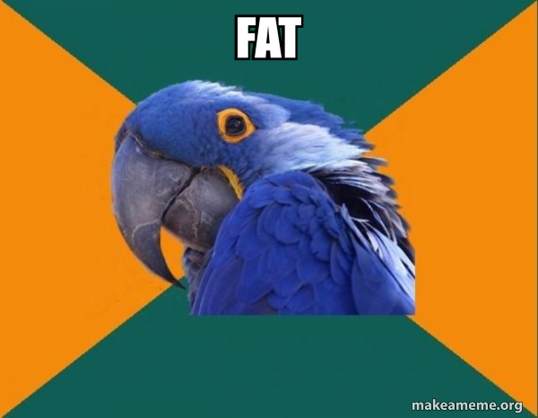 fat - Paranoid Parrot Meme Generator