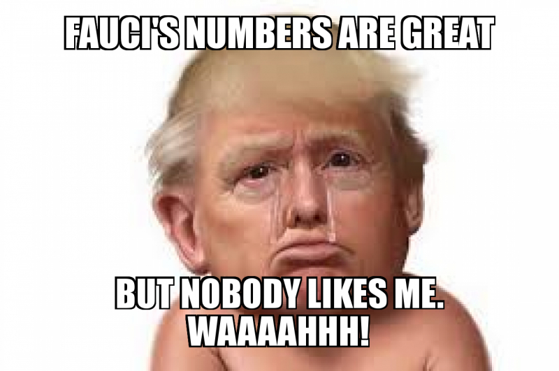 FAUCI'S NUMBERS ARE GREAT BUT NOBODY LIKES ME. WAAAAHHH! Meme Generator