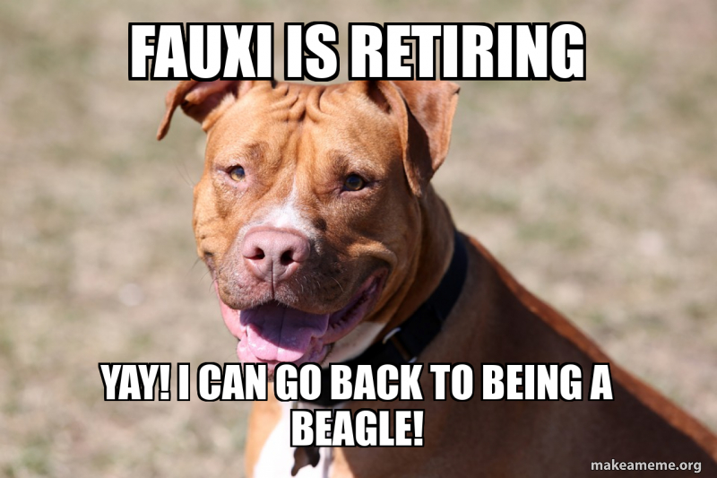 fauxi is retiring yay! i can go back to being a beagle! Meme Generator