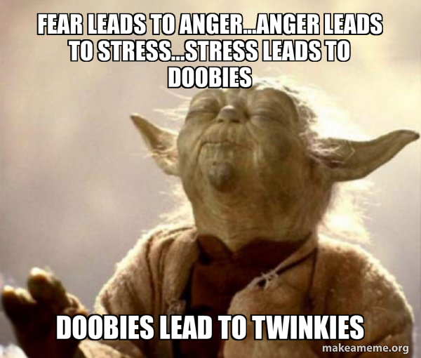 Fear leads to Anger...Anger Leads To Stress...Stress Leads to Doobies ...