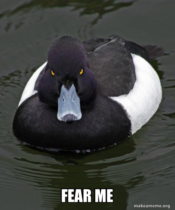 Fear Me - Revenge Duck ( Angry Advice Duck ) Meme Generator