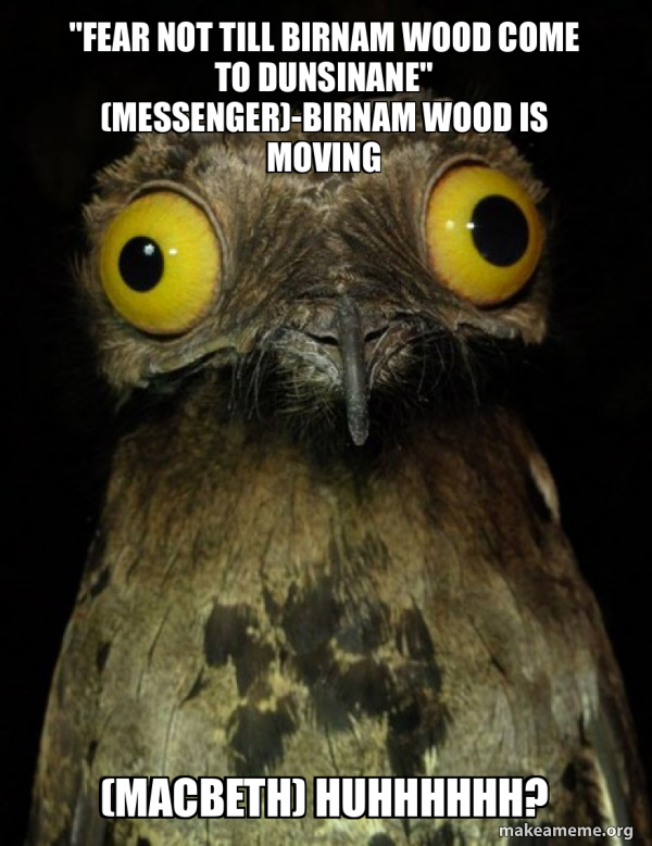 "Fear not till birnam wood come to dunsinane" (messenger)-Birnam wood ...