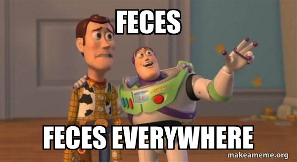 FECES FECES EVERYWHERE - Buzz and Woody (Toy Story) Meme Meme Generator