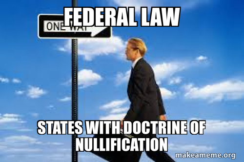 federal law states with doctrine of nullification Meme Generator
