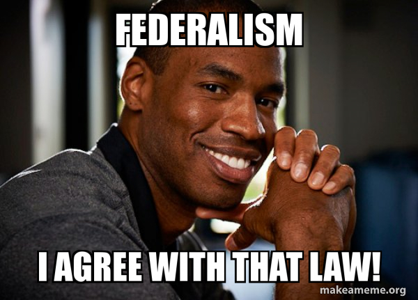 federalism I AGREE WITH THAT LAW! - Good Guy Jason Meme Generator