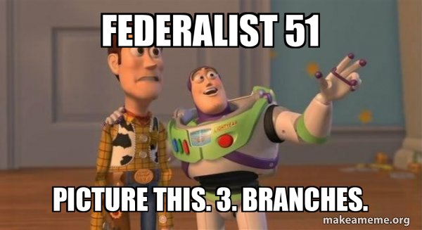 Federalist 51 Picture this. 3. Branches. - Buzz and Woody (Toy Story ...