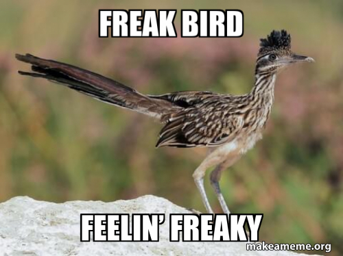 FEELIN’ FREAKY Meme Generator