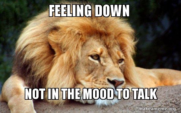 feeling down not in the mood to talk - Confession Lion Meme Generator