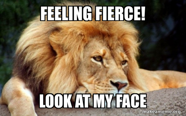 Feeling fierce! Look at my face - Confession Lion Meme Generator