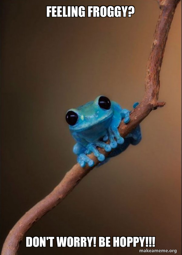 Feeling Froggy? Don't Worry! Be Hoppy!!! - Small Fact Frog Meme Generator