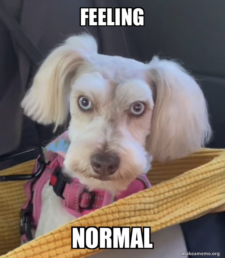 FEELING NORMAL Meme Generator