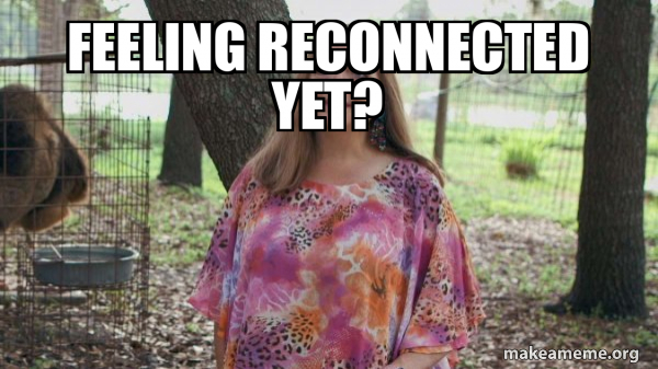 feeling reconnected yet? - Carole Baskins (Carol ?) Meme Generator