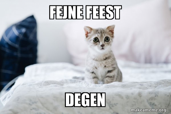 fejne feest degen - Cute Kitten Meme Generator