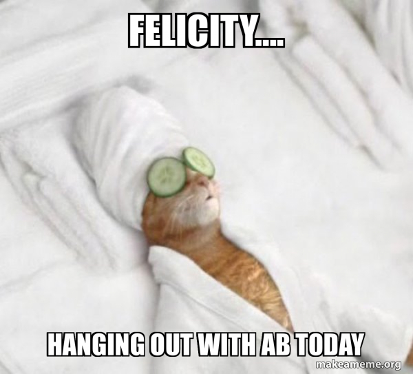 Felicity…. Hanging out with AB today - Pampered Cat Meme Meme Generator
