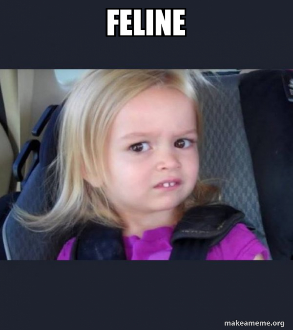 Feline - Side-Eyes Chloe Meme Generator
