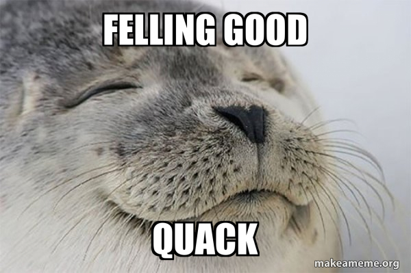 felling good quack - Satisfied Seal Meme Generator