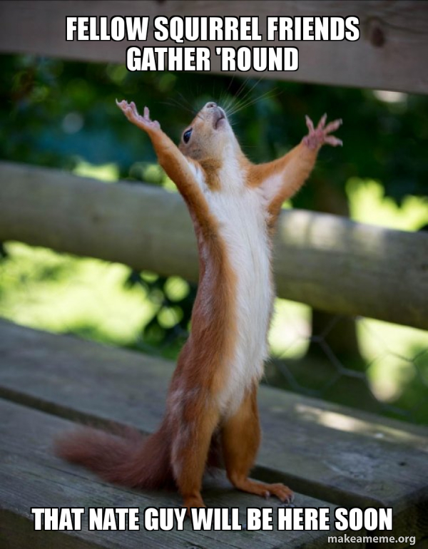 FELLOW SQUIRREL FRIENDS GATHER 'ROUND THAT NATE GUY WILL BE HERE SOON ...