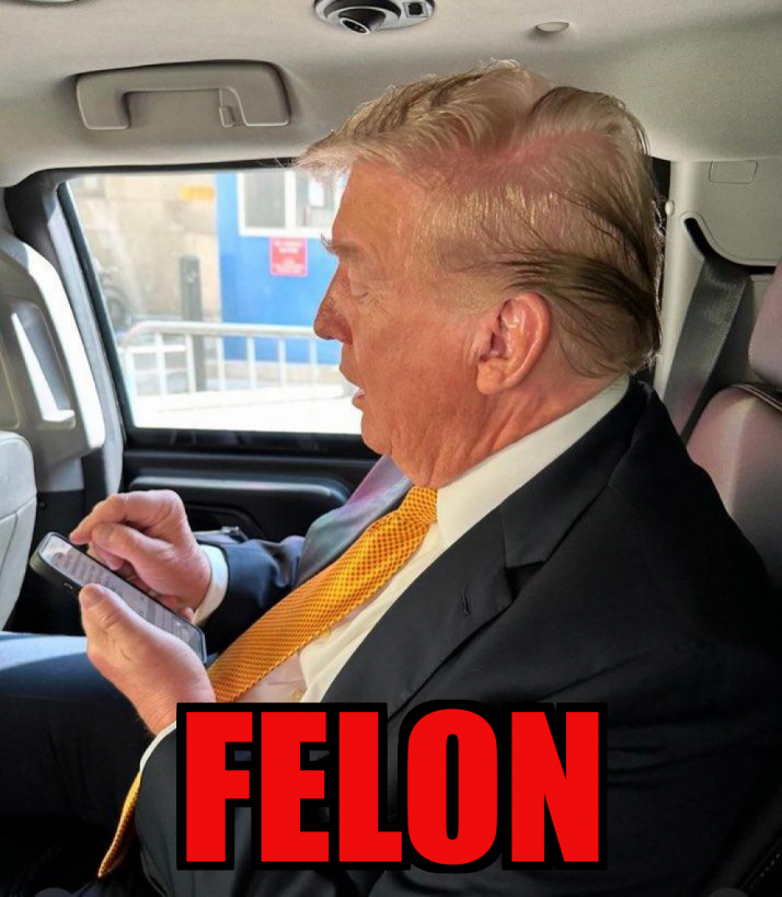 FELON Meme Generator