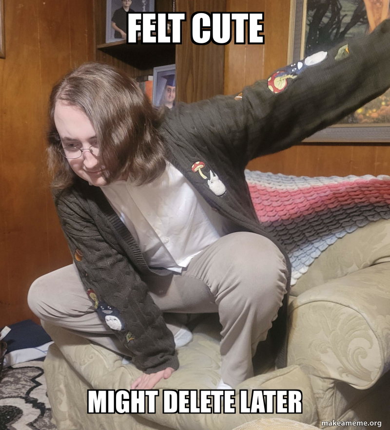 Felt Cute Might Delete Later Meme Generator