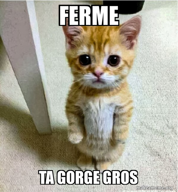 Ferme Ta gorge gros - Cute Cat Standing Meme Generator
