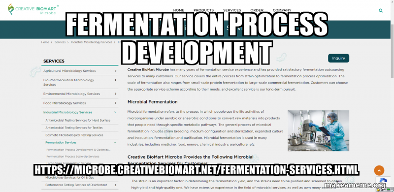 Fermentation Process Development https://microbe.creativebiomart.net ...