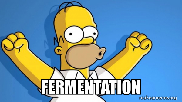 Fermentation - Happy Homer Meme Generator