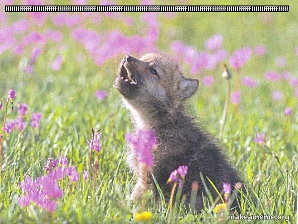 fffffffffffffffffffffffffffffffffffffffffffffffffffffffffffffffffffffff ...