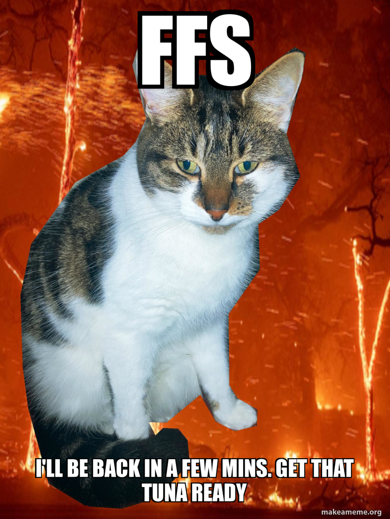 Ffs I'll be back in a few mins. get that tuna ready Meme Generator