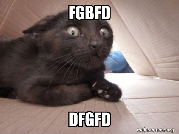 fgbfd dfgfd - Schitzo Cat Meme Generator