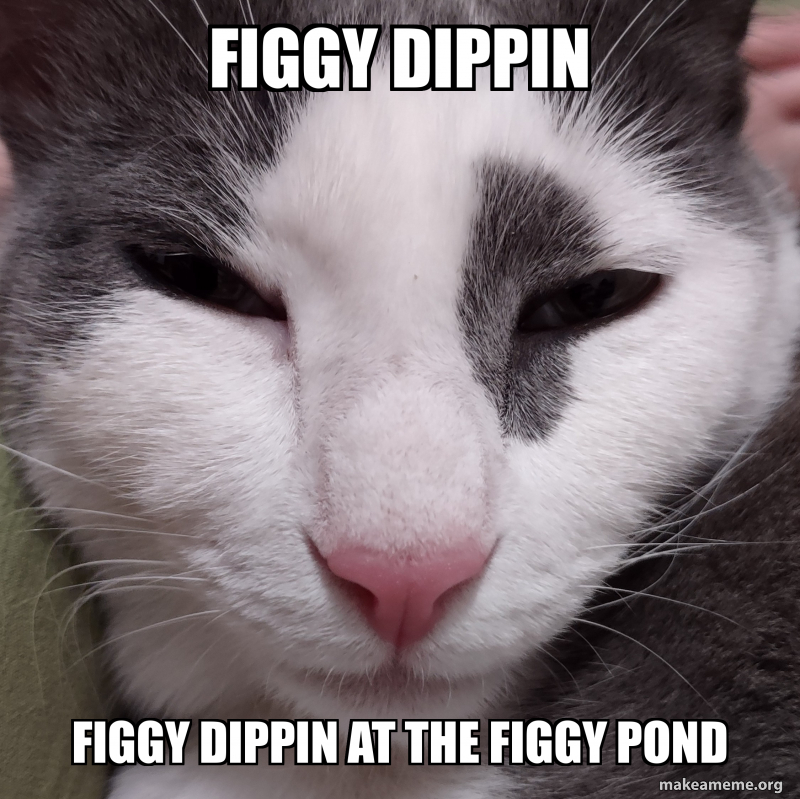 FIGGY dippin Figgy dippin at the figgy pond Meme Generator