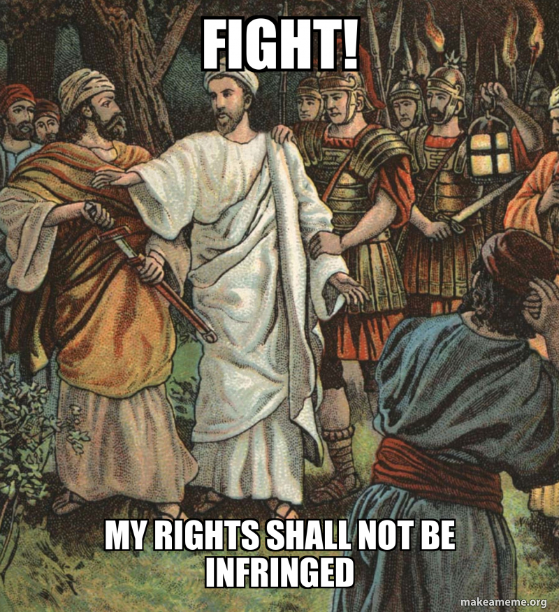 Fight! My rights shall not be infringed Meme Generator