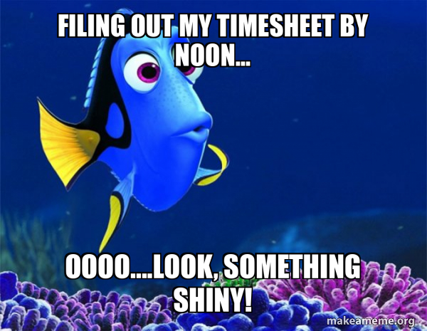 filing out my Timesheet by Noon... Oooo....Look, something shiny ...