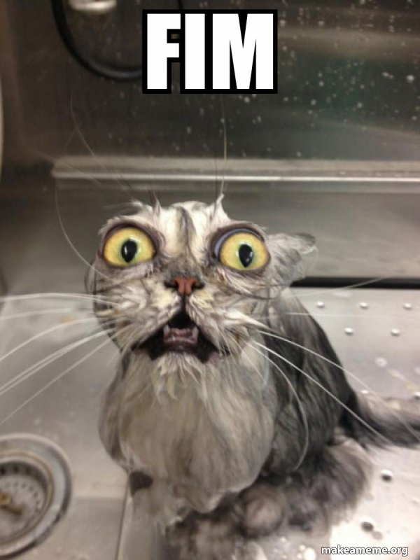 fim - Cat bath Meme Generator