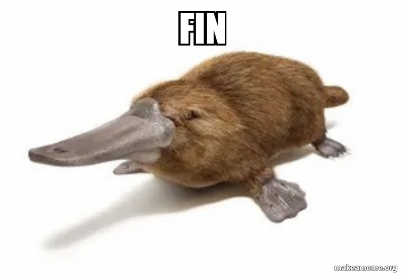 Fin Meme Generator