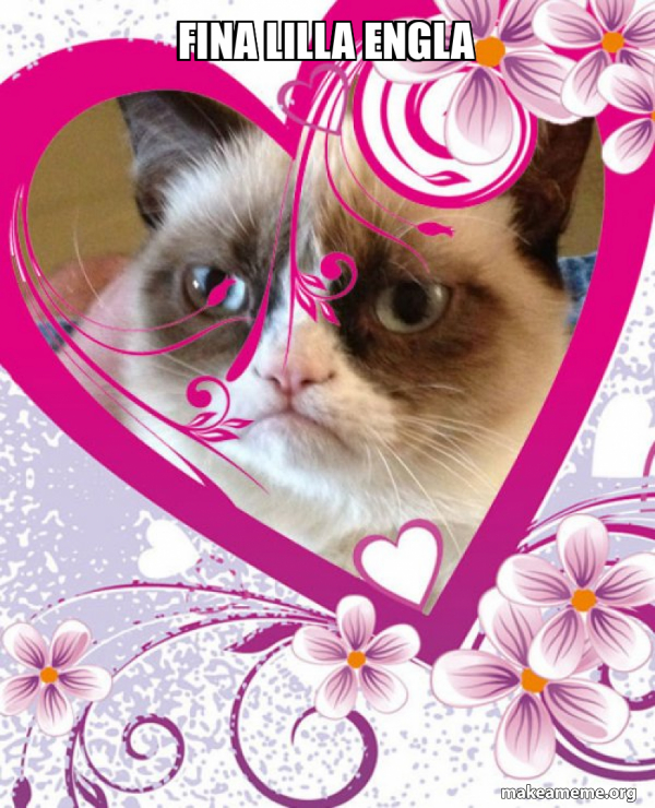 Fina lilla Engla - Grumpy cat Valentines Day Meme Generator