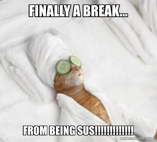 finally a break... from being sus!!!!!!!!!!!!! - Pampered Cat Meme Meme ...