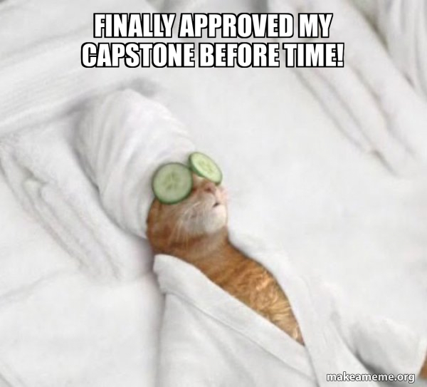 FINALLY APPROVED MY CAPSTONE BEFORE TIME! - Pampered Cat Meme Meme ...