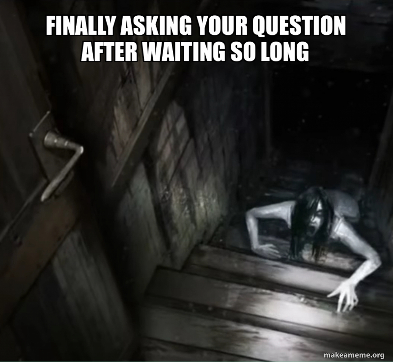 Finally asking your question after waiting so long Meme Generator