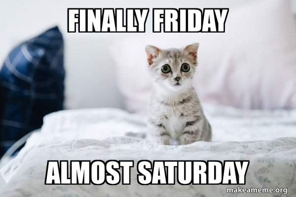 Finally Friday Almost Saturday - Cute Kitten Meme Generator
